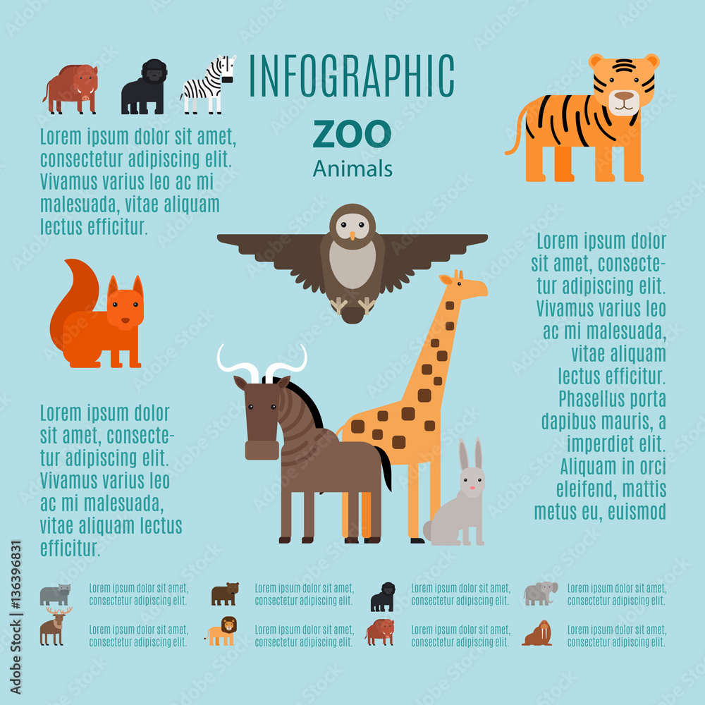 Zoo animals vector infographic on light blue background Stock Vector ...