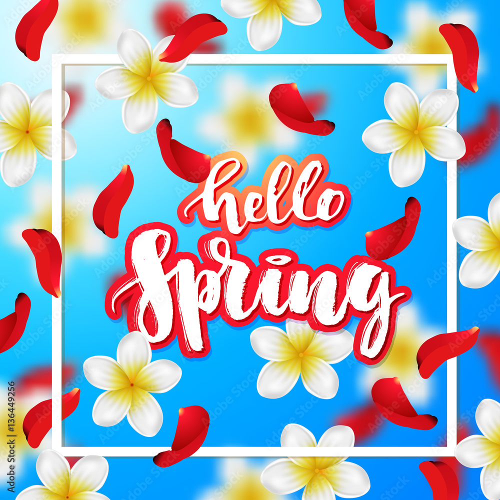 Summer or spring background with tropical flowers and rose petals ...