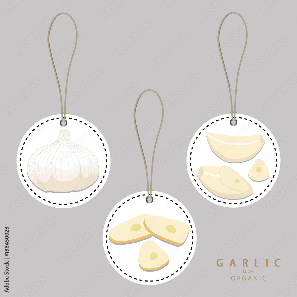 Vector illustration logo for whole ripe vegetable bitter yellow garlic ...
