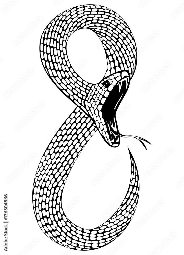 snake 3 vector de Stock | Adobe Stock