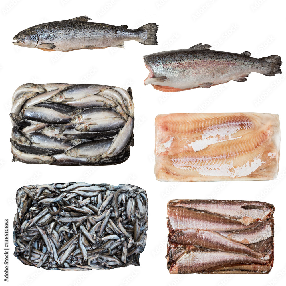 set of a different frozen fish Stock Photo | Adobe Stock