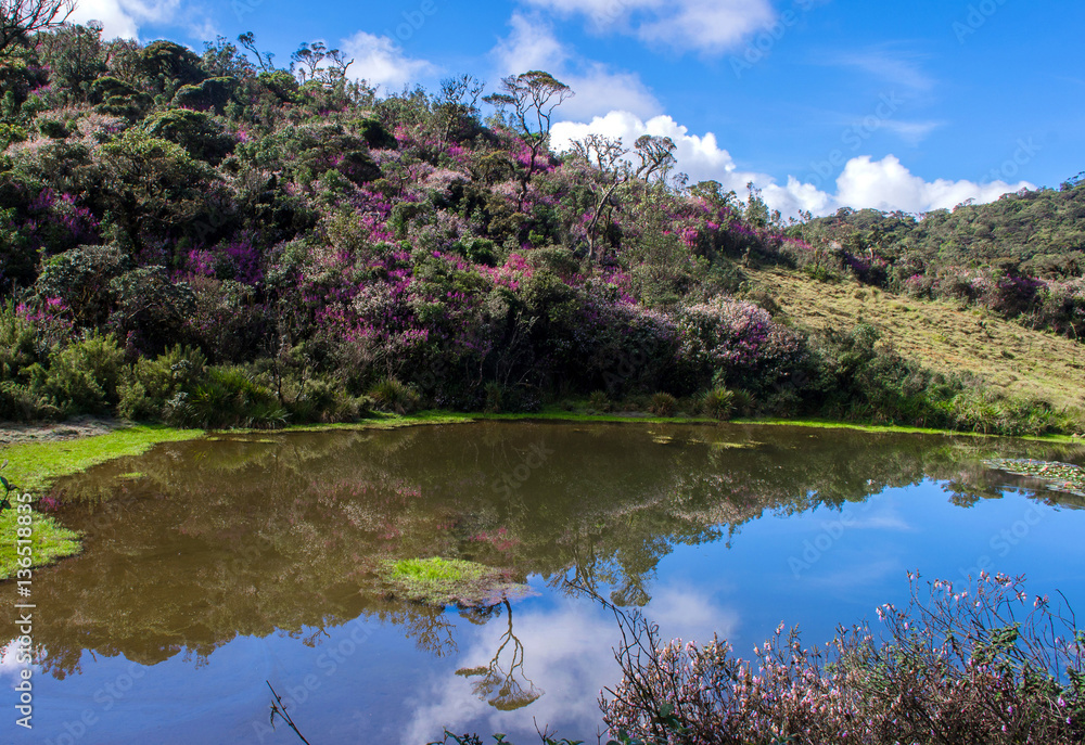 Horton Plains National Park