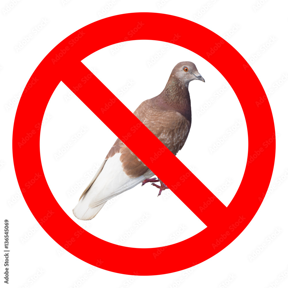 No pigeons sign Stock Photo | Adobe Stock