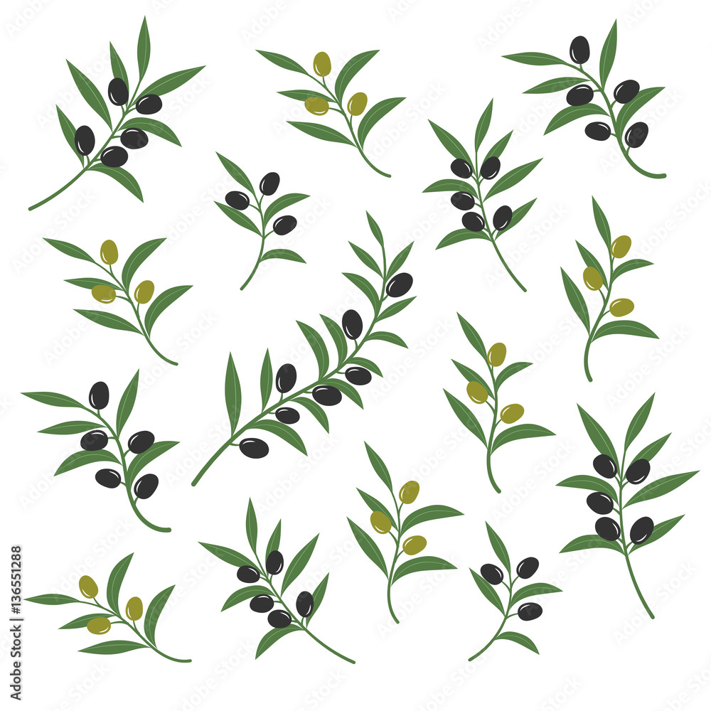 Olive branch set vector illustration. Italian sicilian or greek oil ...