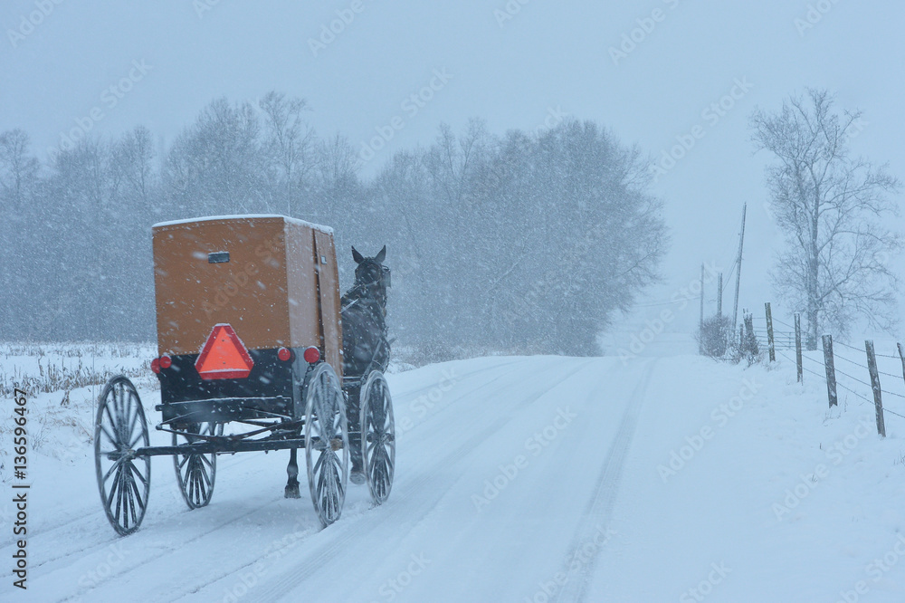 Amish Buggy Stock Photo | Adobe Stock