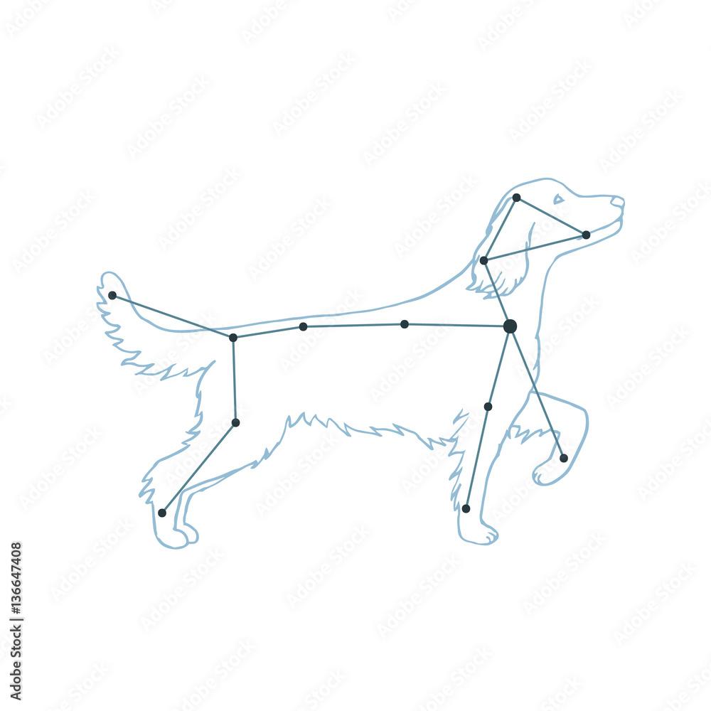 Vector illustration of Canis Major. Dog constellation hand-drawn ...
