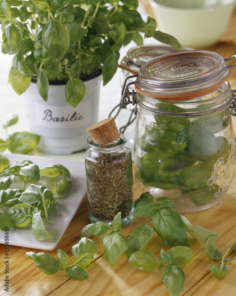 Ocimum basilicum / Basilic Stock Photo | Adobe Stock