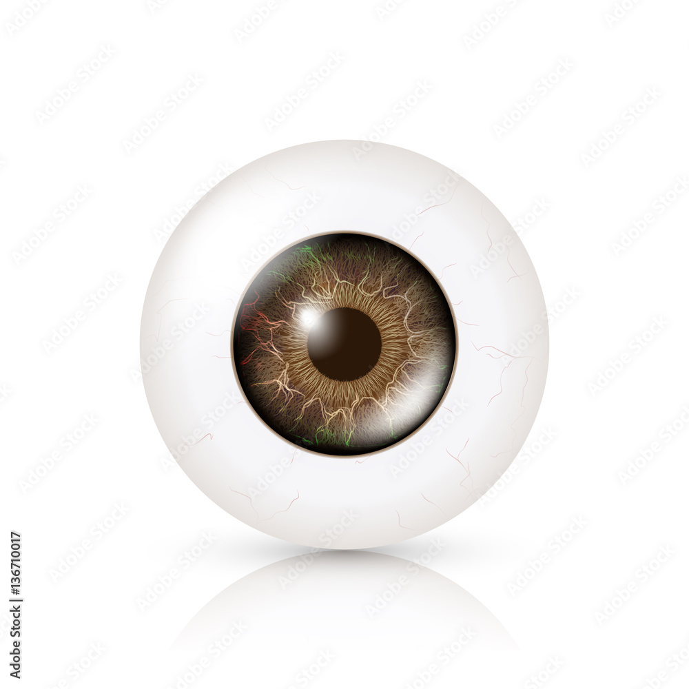 Photo Realistic Eyeball. Human Retina. Vector Illustration Of 3d Human ...