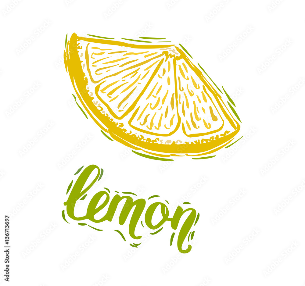 Hand drawn vector illustration Lemon sketch Stock Vector | Adobe Stock