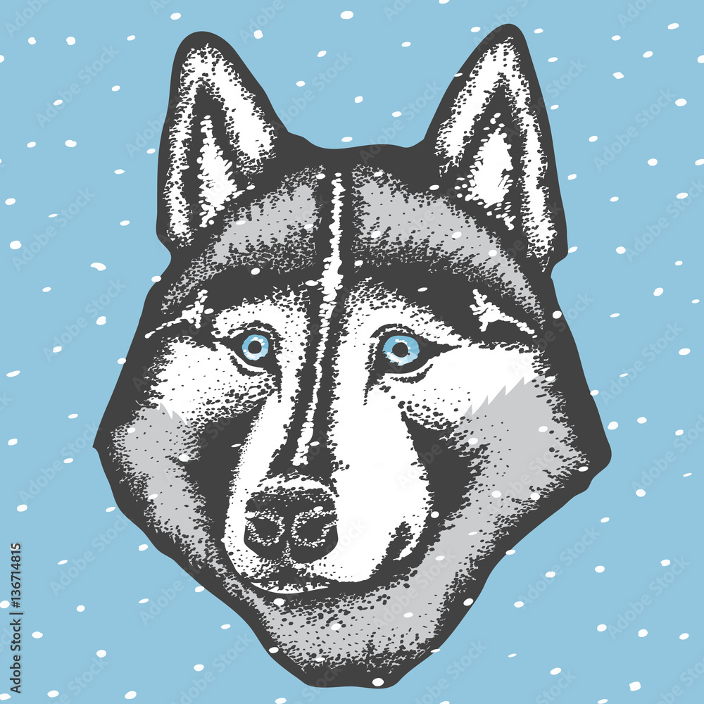 Vector siberian husky Stock Vector | Adobe Stock