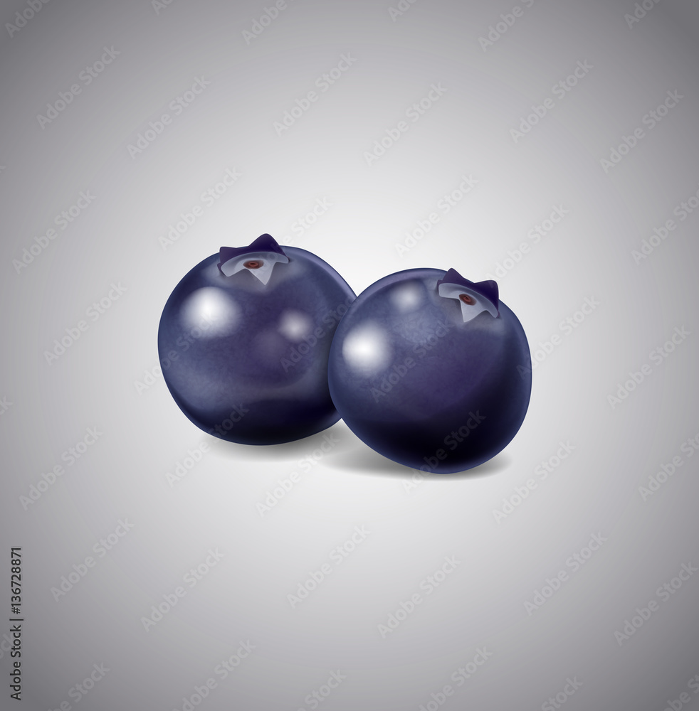 Blueberry fruits isolated on white background. Vector berrie Stock ...