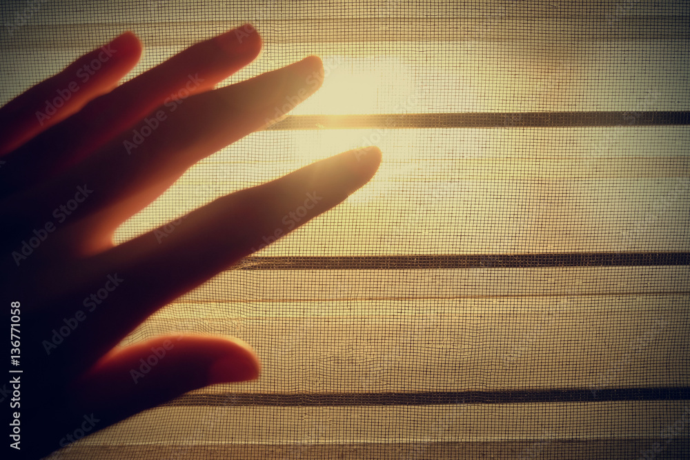 finger and shadow on the window louver at the sunset Stock Photo ...