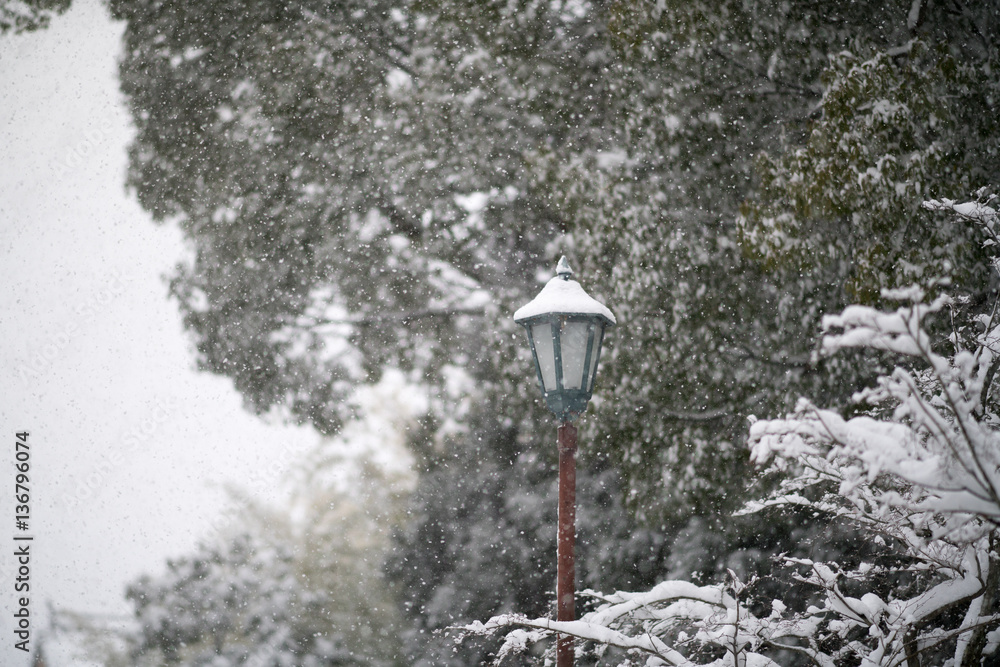 Photo & Art Print Approach Kinkakuji temple,snow scene,Kyoto,tourism of ...