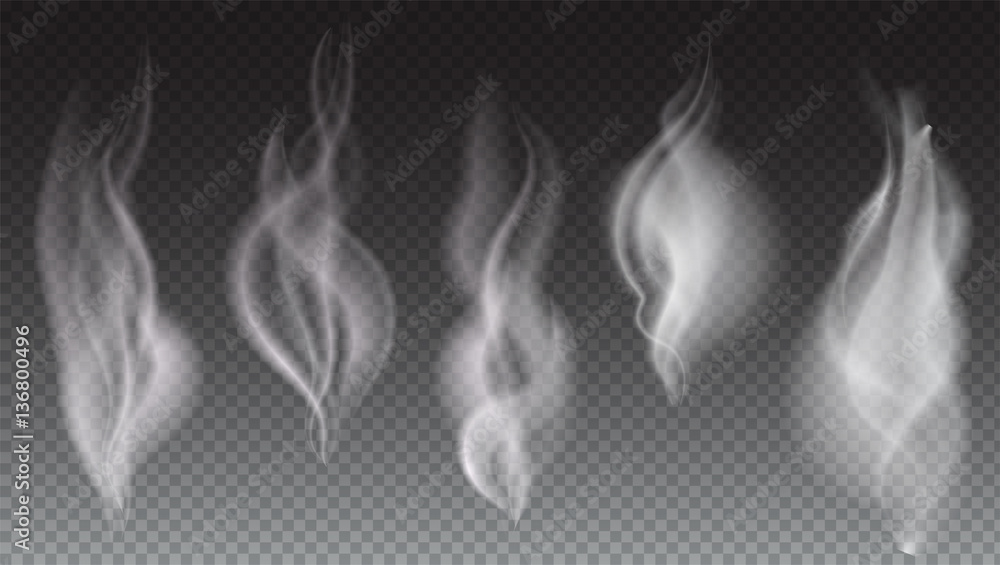 White smoke waves on transparent background vector illustration Stock ...