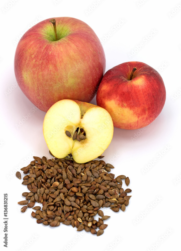 Apfelkerne, Äpfel, Apfelkörner Stock-Foto | Adobe Stock