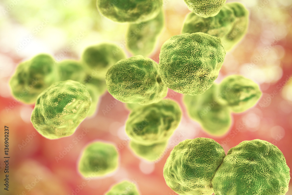 Bacteria Francisella tularensis, 3D illustration. Gram-negative ...