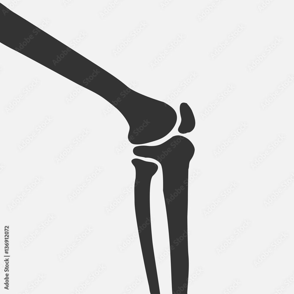 human knee joint side view Stock Vector | Adobe Stock