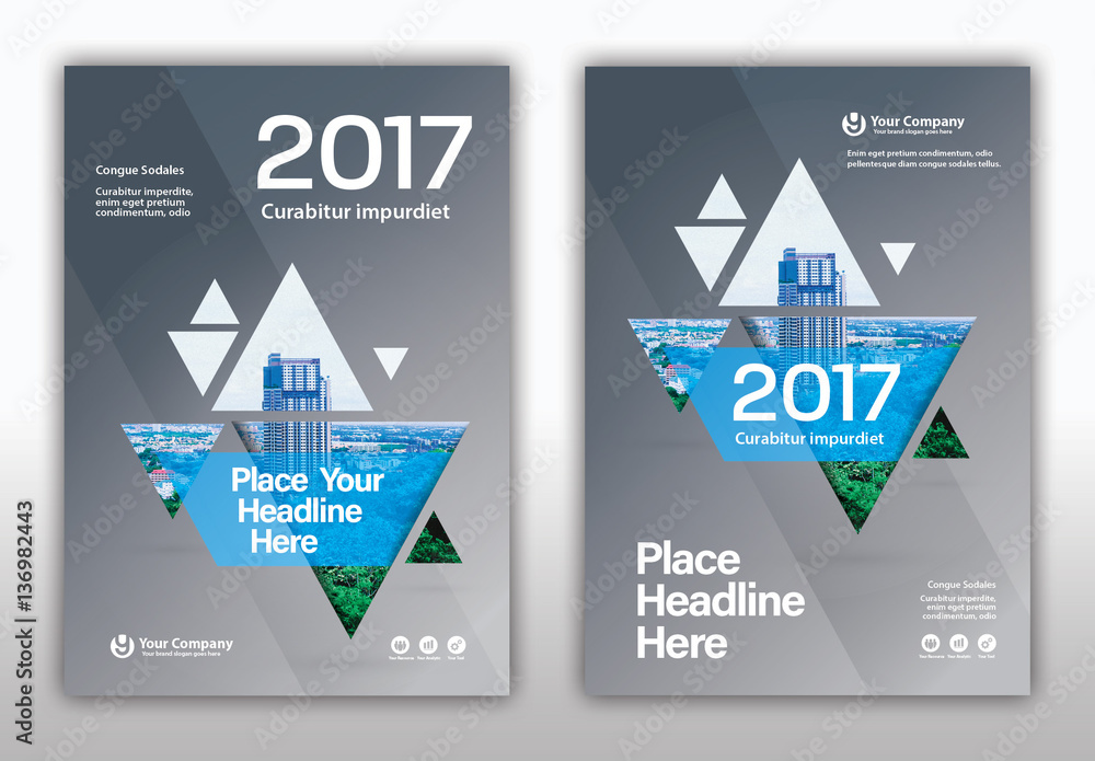 Book Cover Layout Set 59 Stock Template | Adobe Stock