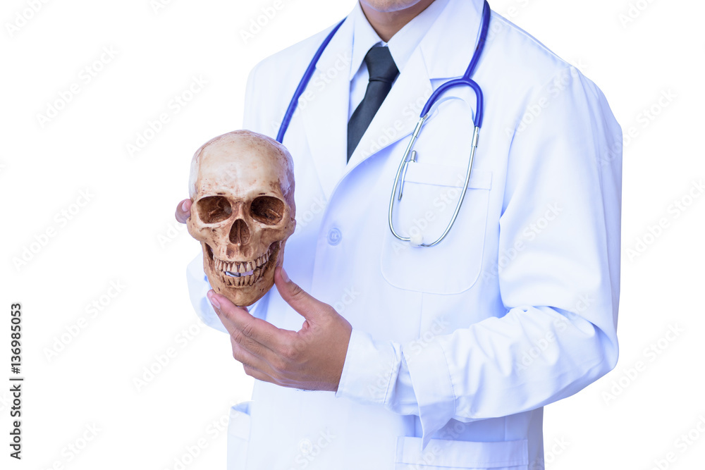 Doctor check human skull in his hands and point to the skull Stock ...