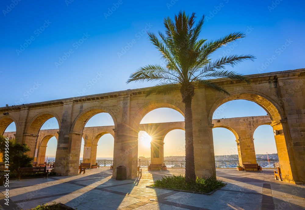 Valletta, Malta - Palm tree at the top of Valletta at sunrise with blue ...