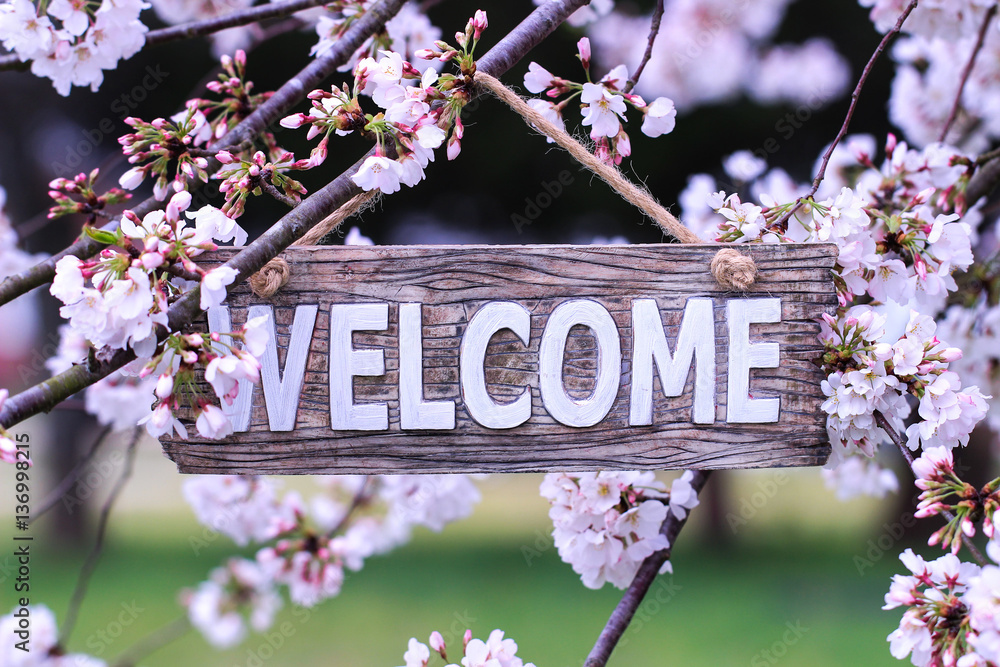 Welcome sign hanging from tree with spring flowers Stock Photo | Adobe ...