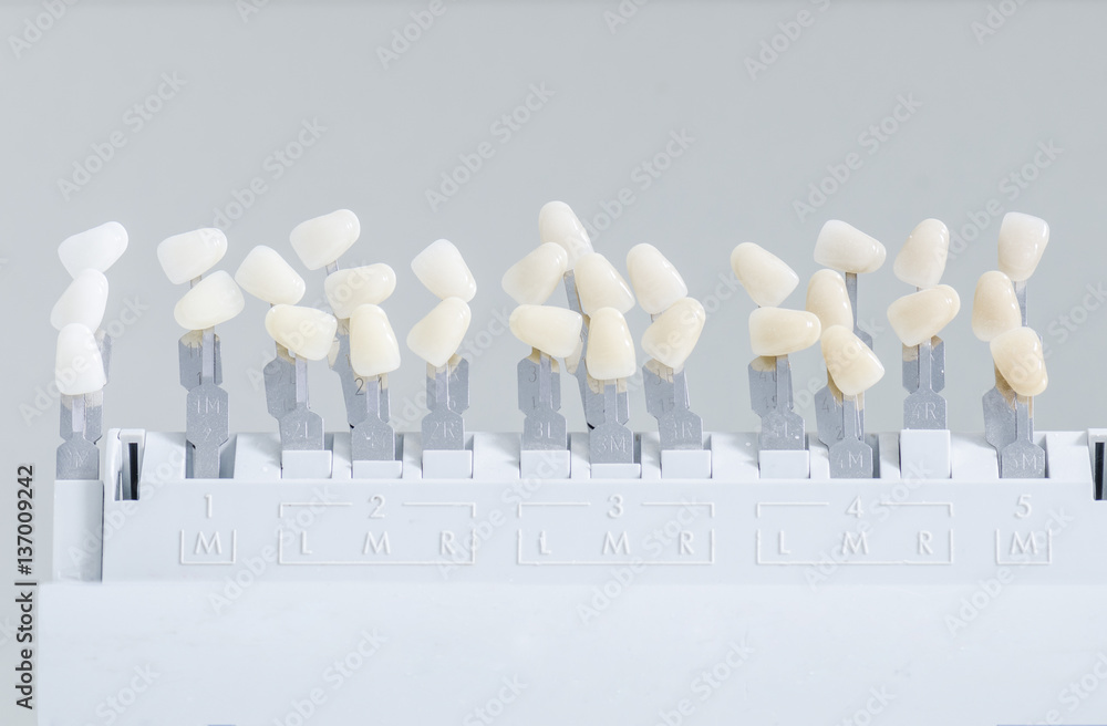 Dental teeth samples, dental color shade guide Stock Photo | Adobe Stock
