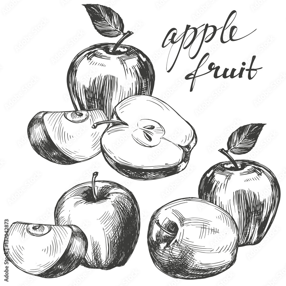 apple fruit set hand drawn vector llustration sketch Stock Vector ...