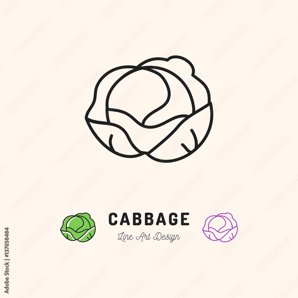 Vector Cabbage icon Vegetables logo. Thin line art design, outline ...