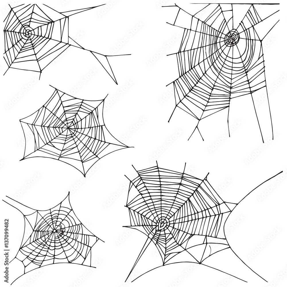 Spider hand drawn net set. Stock Vector | Adobe Stock Spider hand drawn net set. Stock Vector | Adobe Stock