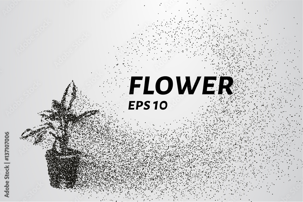 Flower of the particles. The flower pot consists of circles and points ...