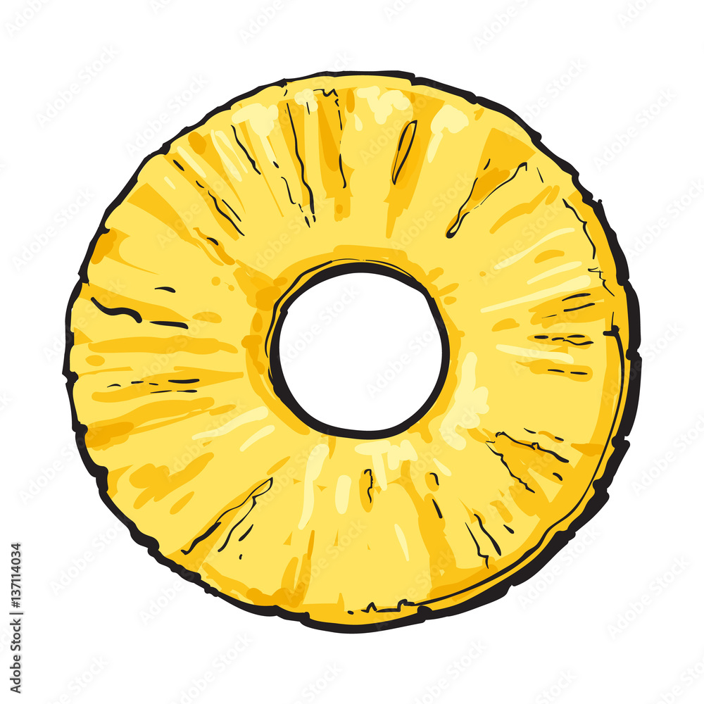 Peeled round pineapple slice with hole in the middle, top view, sketch style vector illustration ...