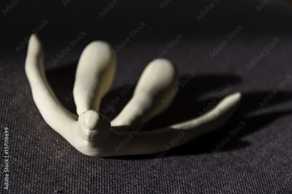 3d printed female sex organ clitoris for human anatomy lessons Stock ...