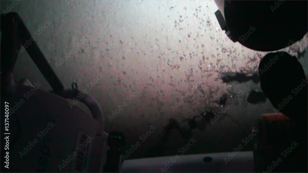 Unique landscape of deep sea underwater in Pacific Ocean. Submarine ...