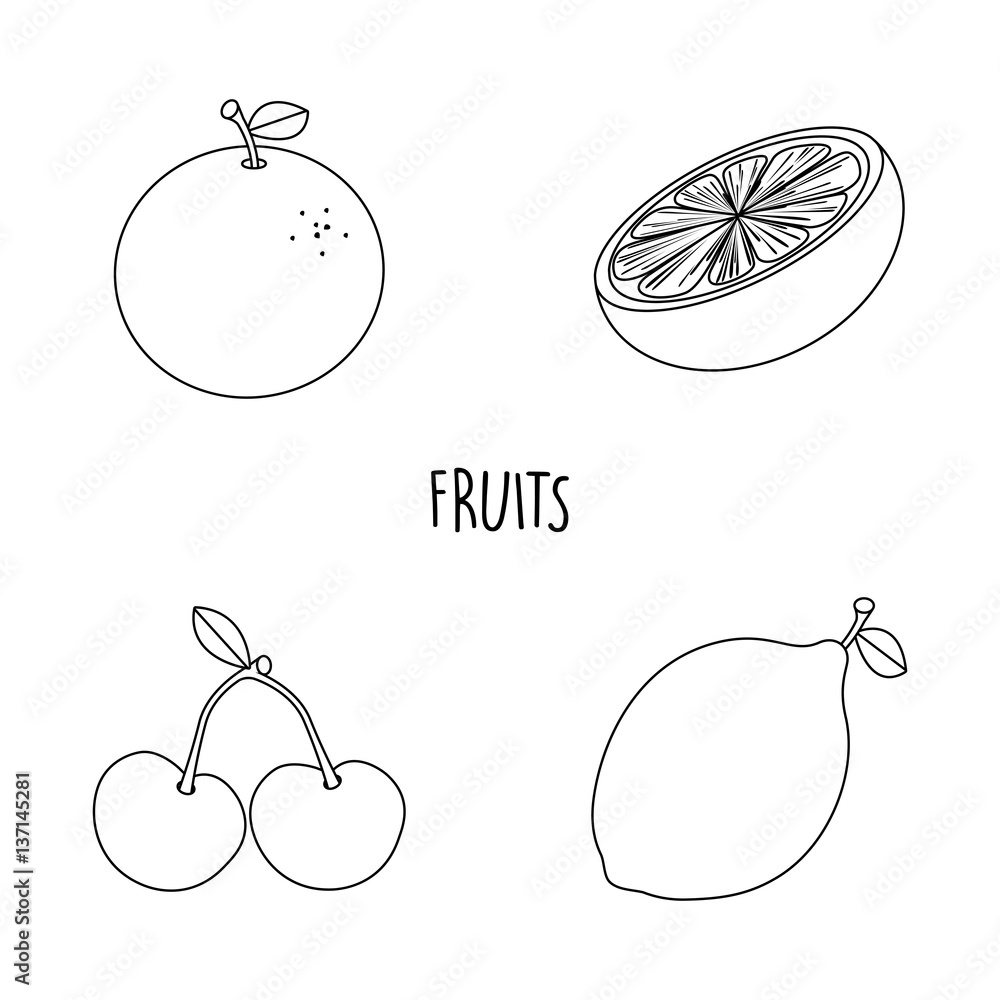 Line drawing fruits Stock Vector | Adobe Stock