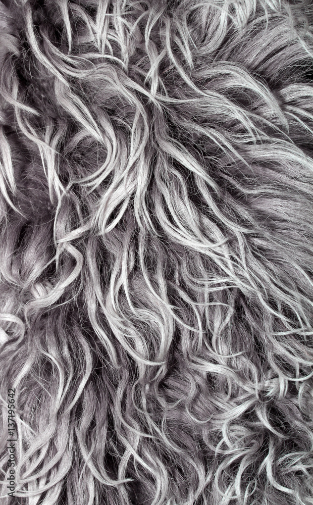 texture long wavy grey hair with white strands of gray hair Stock Photo ...