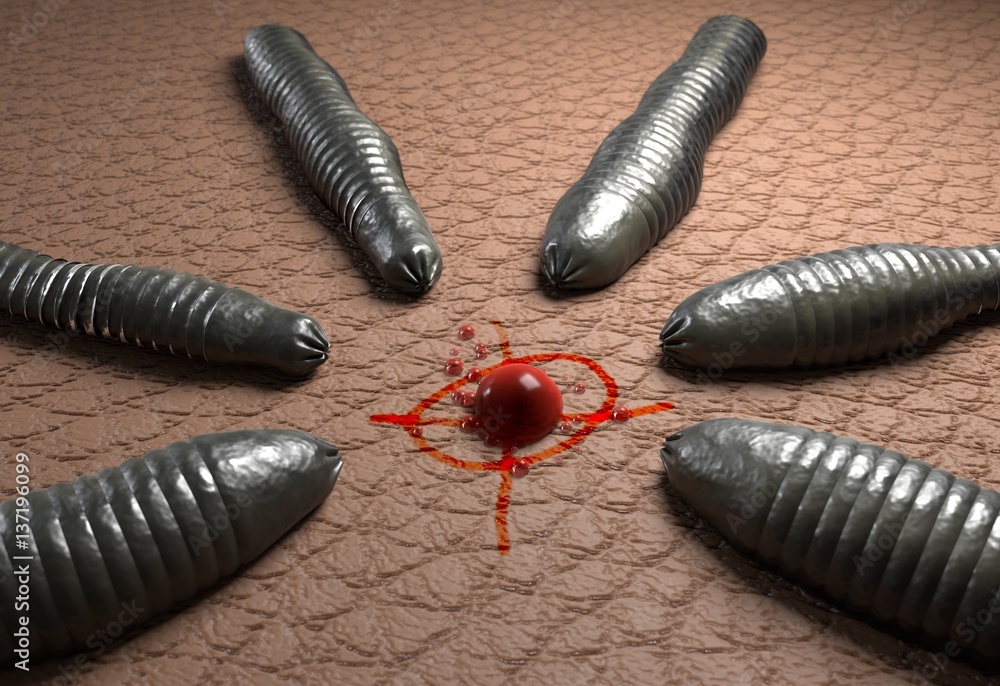leech worms target on blood drop on human skin 3d illustration Stock ...
