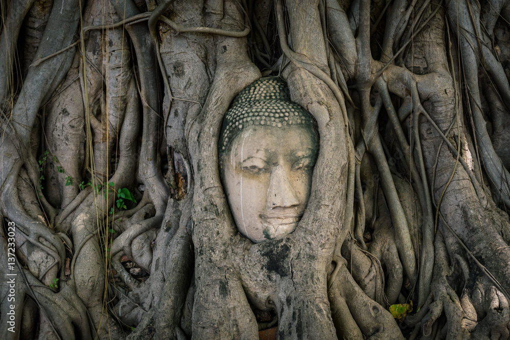 Buddha Head Tree Wat Maha That (Ayutthaya) Stock Photo | Adobe Stock