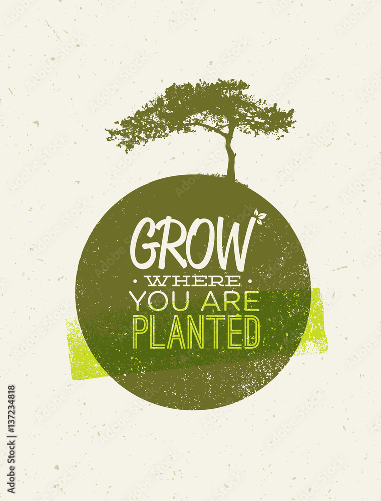 Grow Where You Are Planted Motivation Quote on Recycled Paper ...