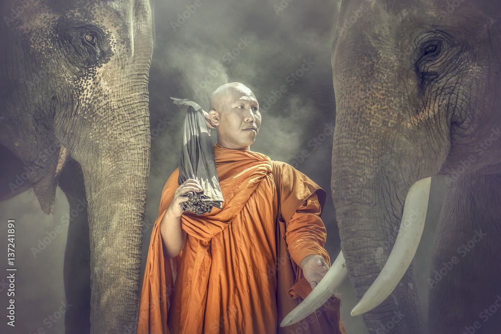 Buddhist monks are standing pat ivory and compassionate Stock Photo ...