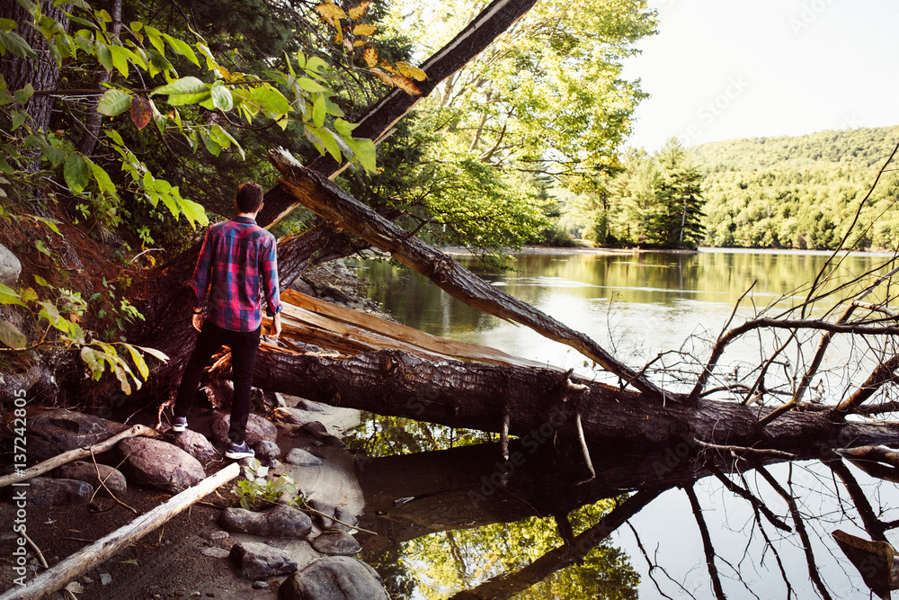 Man standing beside lake, rear view Stock Photo | Adobe Stock