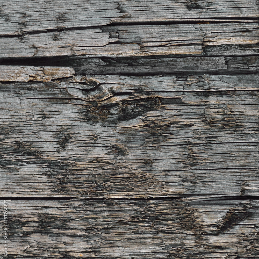 Rough Cut Wood Texture