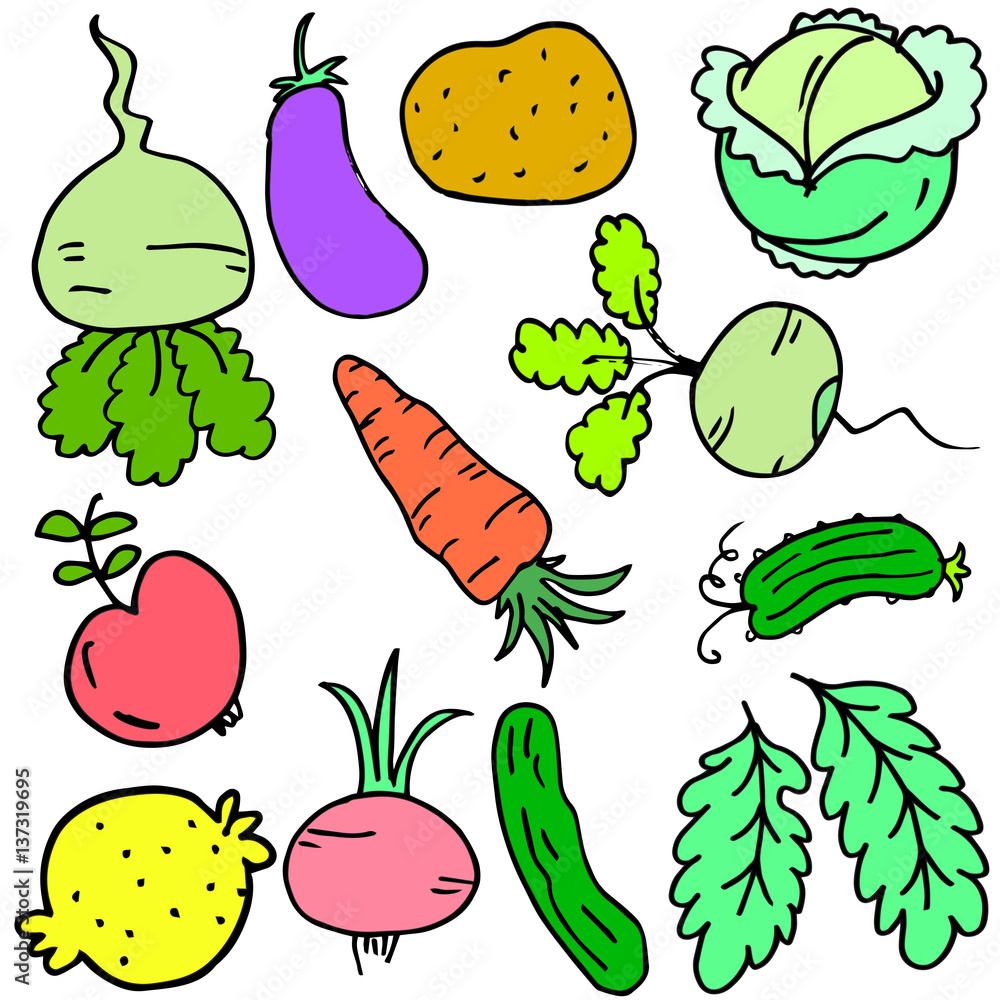 Doodle of vegetable various set collection Stock Vector | Adobe Stock