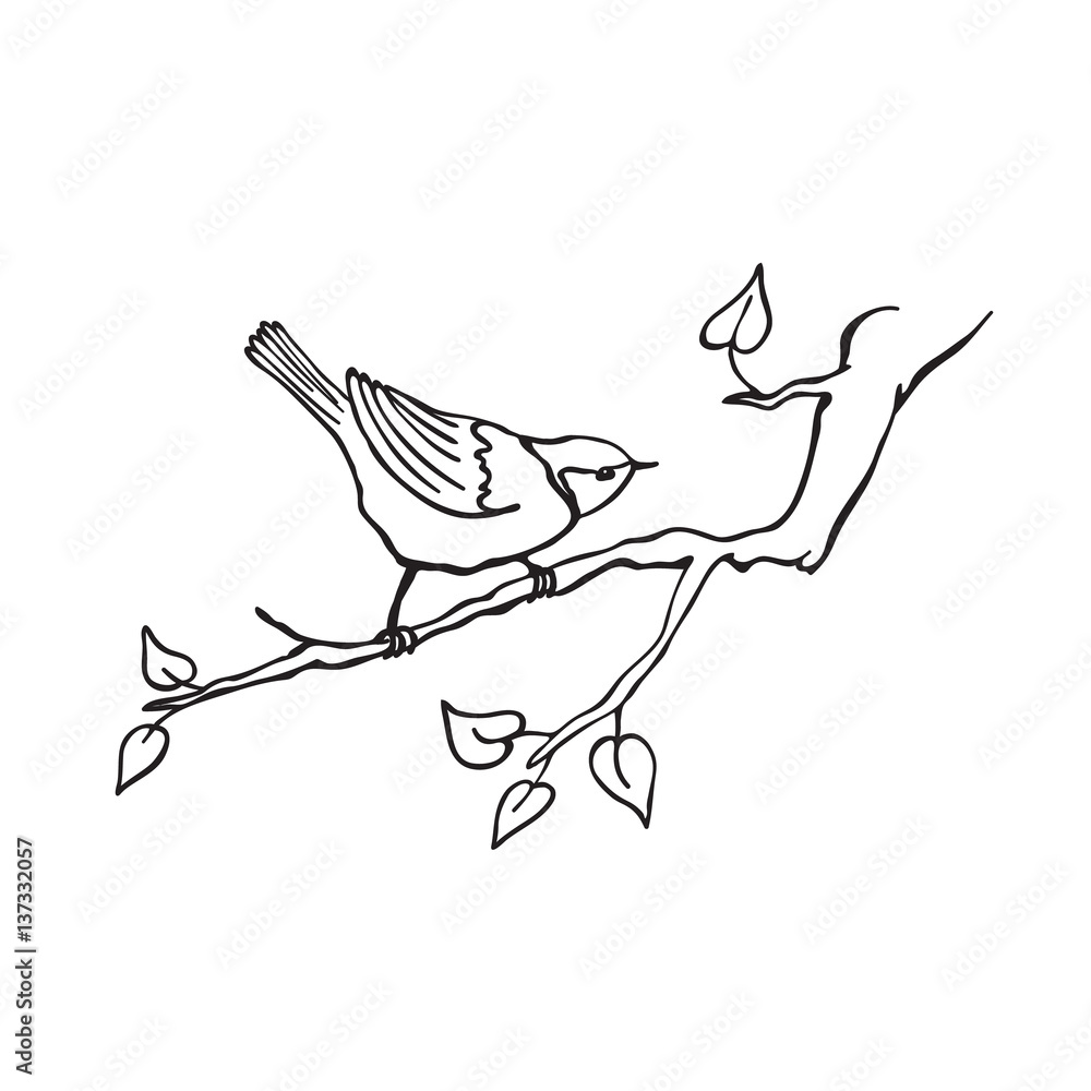 Hand drawn bird sitting on branch isolated on white background. Tit ...