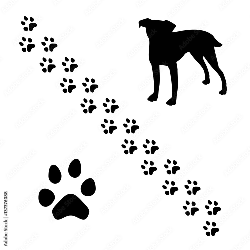 Dog footprints vector Stock Vector | Adobe Stock