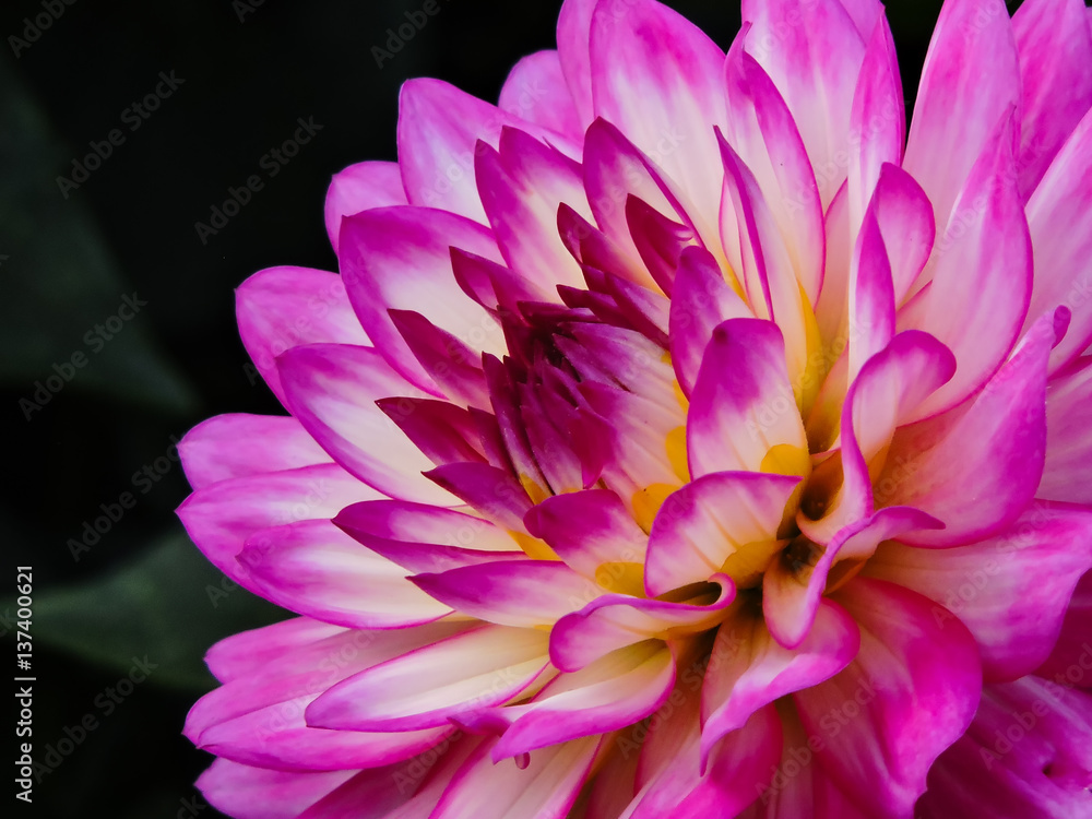 Melissa Woolf's Instagram, Twitter & Facebook on IDCrawl