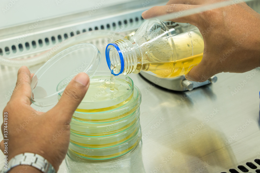 Culture medium for Inoculum tests in Biological safety cabinets lab ...