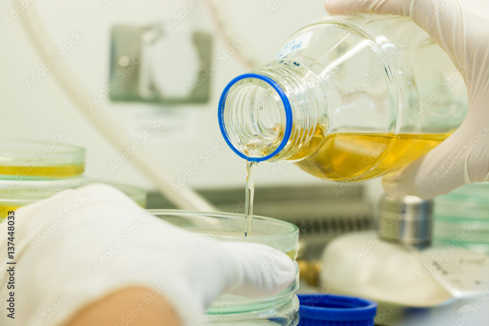 Culture medium for Inoculum tests in Biological safety cabinets lab ...