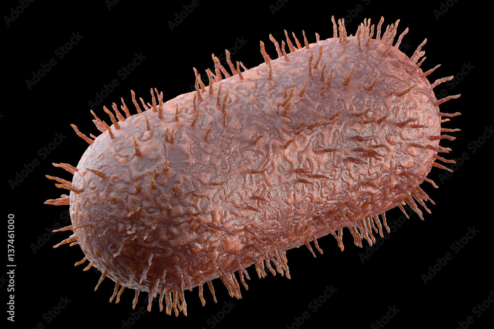 3d render bacteria or microbe in cross section. Microorganism ...