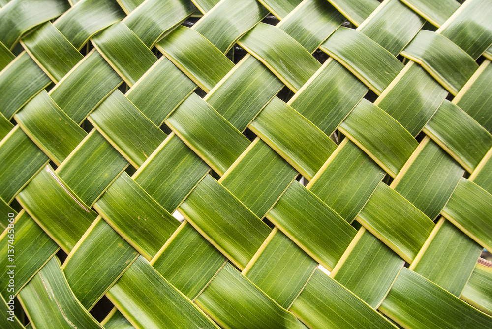 Natural texture made from coconut leaf. Stock Photo | Adobe Stock
