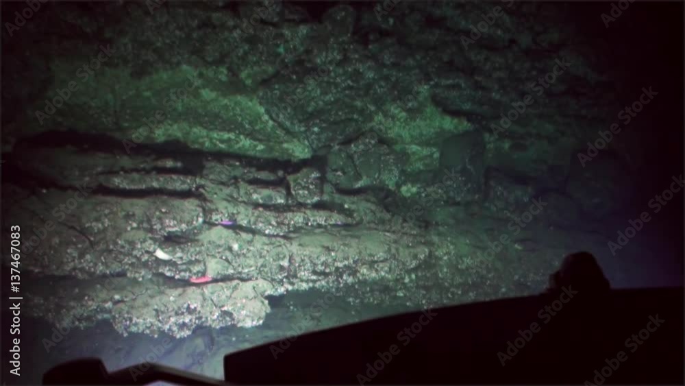 Underwater coral deep sea canyon from submarine in Pacific Ocean Cocos ...